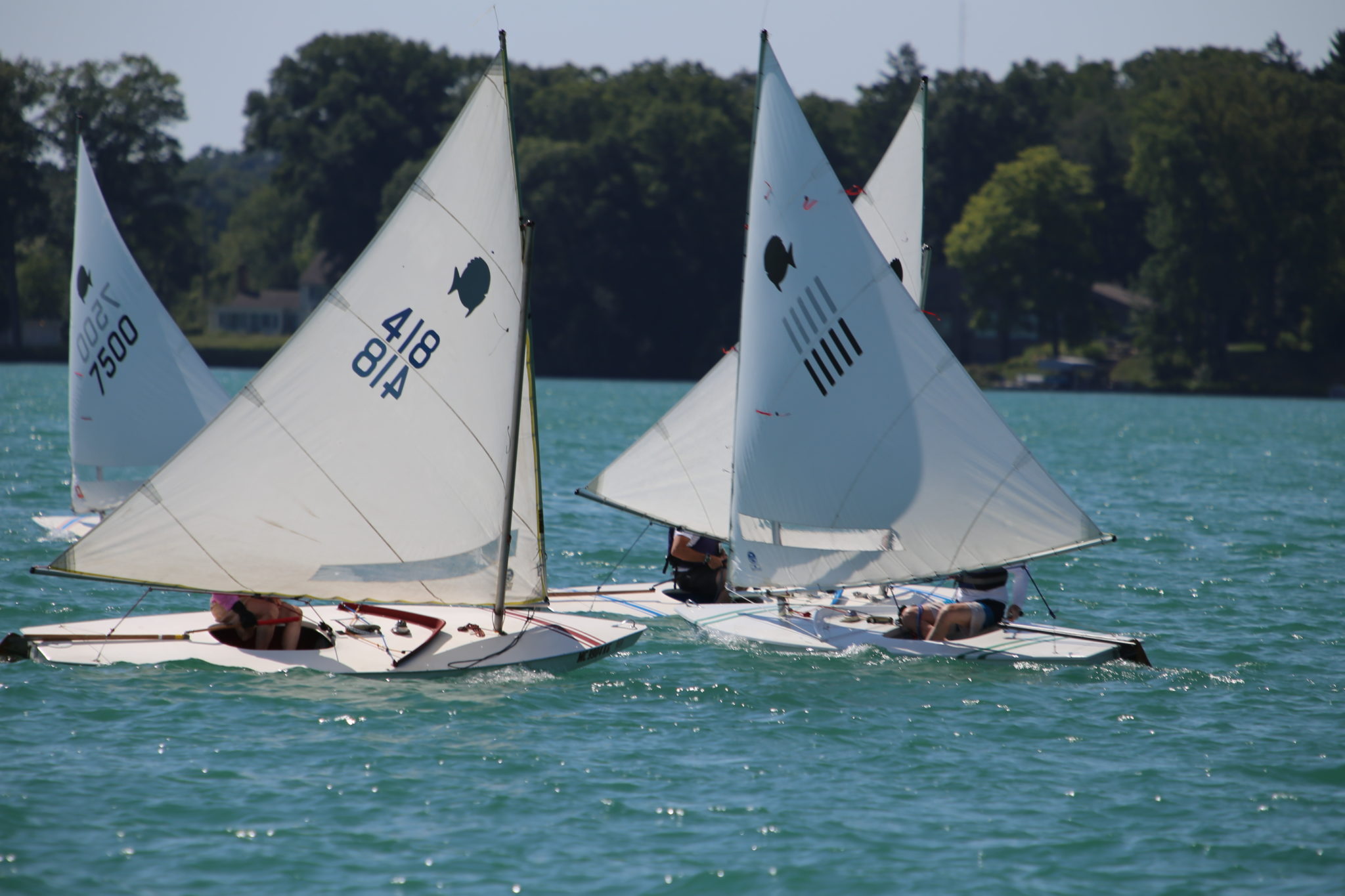 2025 Sunfish Michigan Open Championship – Gull Lake Sailing Club